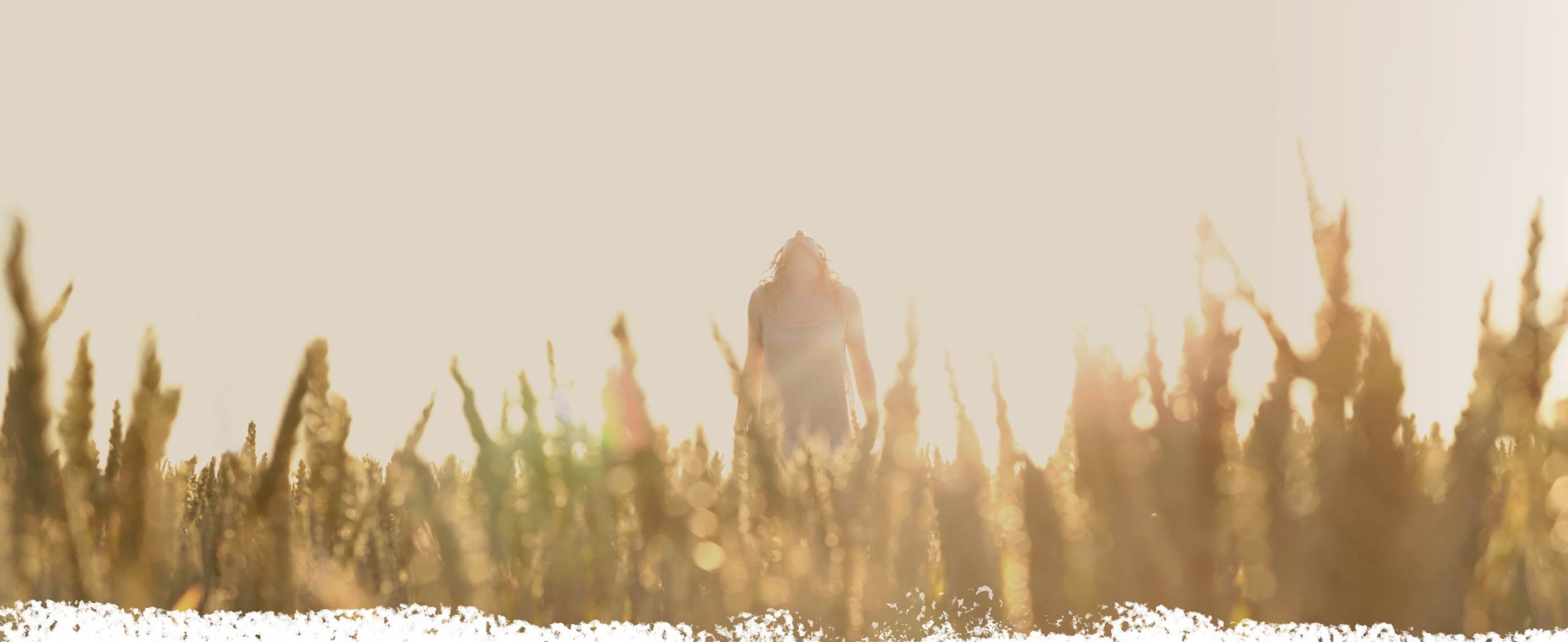 Welcome - Soul Farm Retreats - Yoga Retreats near Chicago